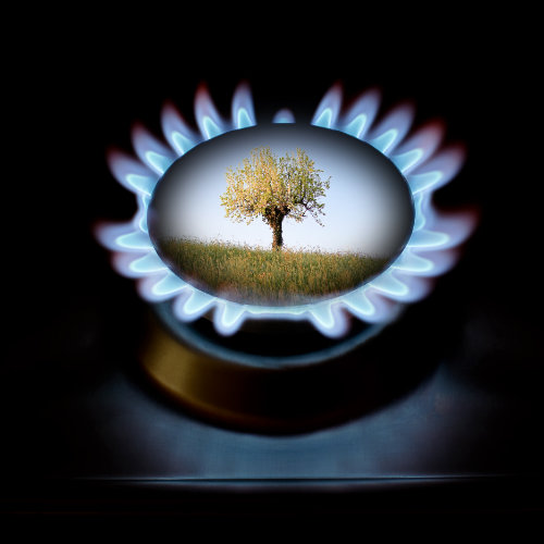 Gaskamin: So heizen Sie mit Erdgas I Vattenfall